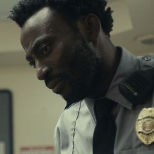 Shelter - Rotten Tomatoes