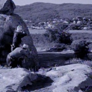 Gold Raiders - Rotten Tomatoes