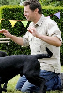 The Wonder of Dogs: Season 1, Episode 3 - Rotten Tomatoes