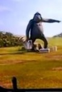 Creature Comforts: Season 2, Episode 13 - Rotten Tomatoes