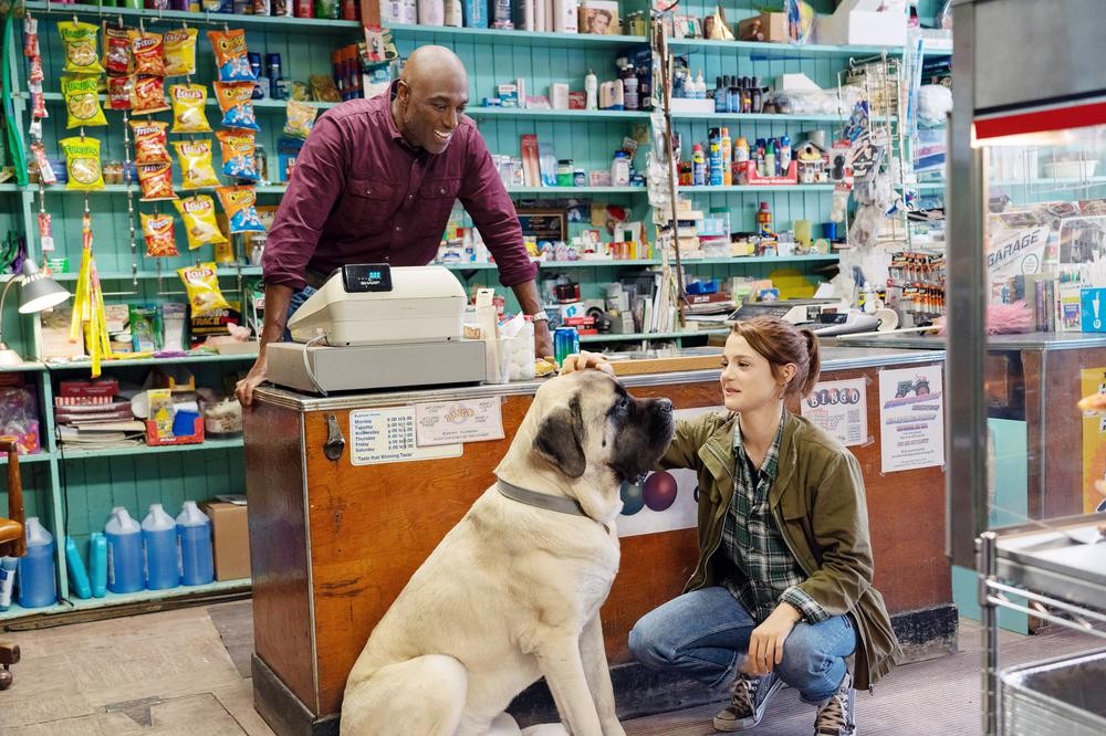 Conrad Coates Percy Jackson