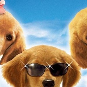 Air Buddies - Rotten Tomatoes