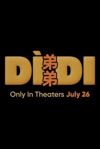 Dìdi - Movie Reviews | Rotten Tomatoes