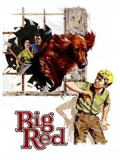 Big Red Prints