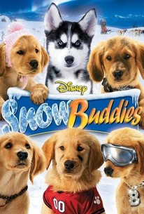 Snow Buddies | Rotten Tomatoes