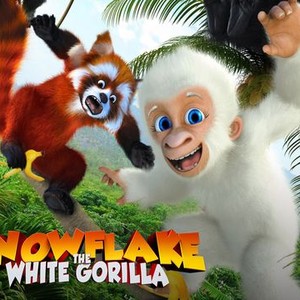 Snowflake, the White Gorilla - Rotten Tomatoes