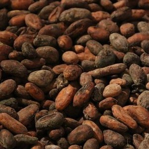 The Dark Side of Chocolate - Rotten Tomatoes