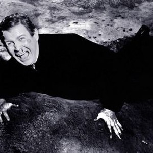 Unknown Island - Rotten Tomatoes