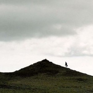 The Trader - Rotten Tomatoes