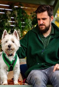The Dog House: UK: Season 4, Episode 3 | Rotten Tomatoes