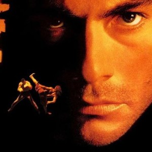 The Quest - Rotten Tomatoes