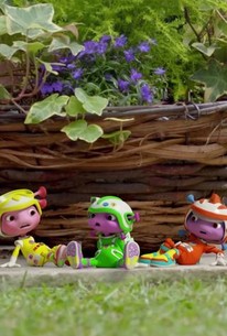 Floogals: Season 1, Episode 49 | Rotten Tomatoes