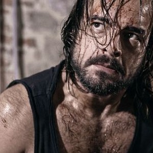 Born Dead - Rotten Tomatoes