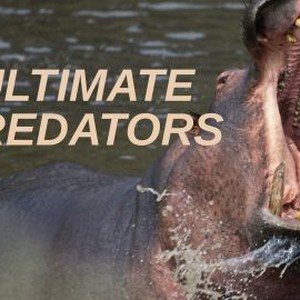 Ultimate Predators: Season 2, Episode 1 - Rotten Tomatoes