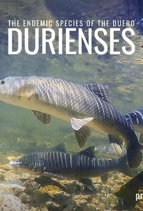 Durienses: The Endemic Species of the Duero | Rotten Tomatoes