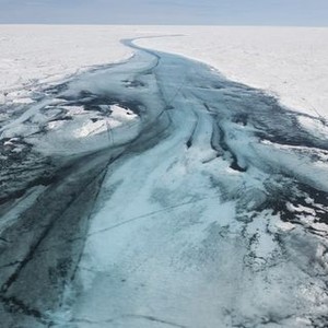 Chasing Ice - Rotten Tomatoes