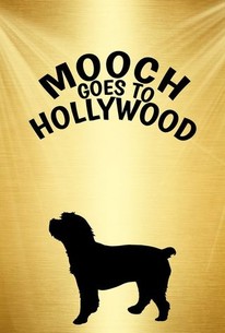 Mooch Goes to Hollywood | Rotten Tomatoes