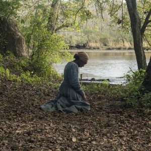 Harriet - Rotten Tomatoes