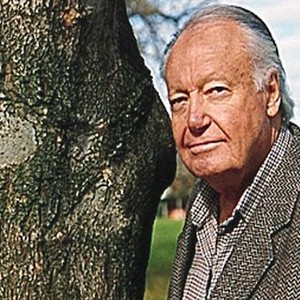 Innocence - Rotten Tomatoes