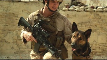 Max - Rotten Tomatoes