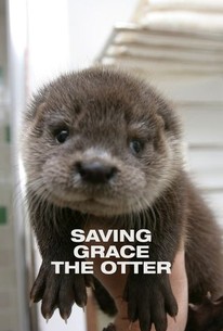 Saving Grace the Otter | Rotten Tomatoes
