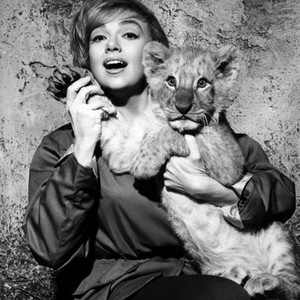 Edie Adams - Rotten Tomatoes