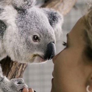 Izzy's Koala World - Rotten Tomatoes