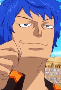 One Piece: Season 17, Episode 10 | Rotten Tomatoes