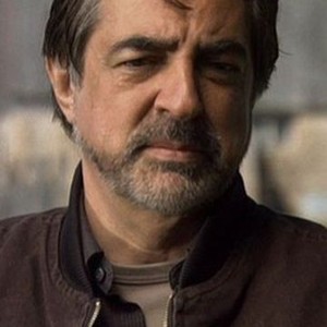 The Last Hit Man - Rotten Tomatoes