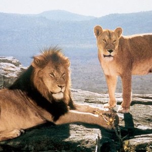 Born Free - Rotten Tomatoes