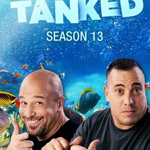 Tanked: Season 13, Episode 1 - Rotten Tomatoes