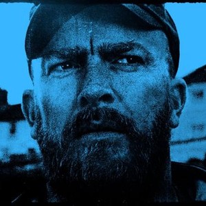 Bait - Rotten Tomatoes