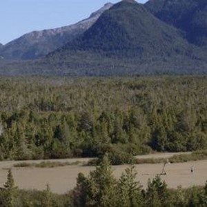 Alaskan Nets - Rotten Tomatoes