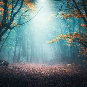 Jodidar - Rotten Tomatoes