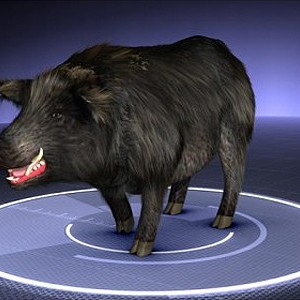 MonsterQuest - Rotten Tomatoes