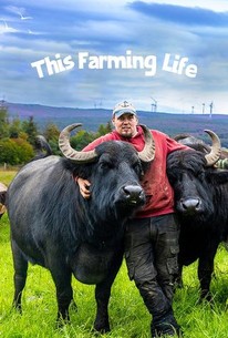 This Farming Life: Season 6 | Rotten Tomatoes