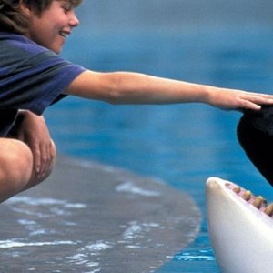 Free Willy - Rotten Tomatoes