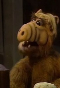 ALF - Season 1 Episode 9 - Rotten Tomatoes