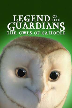 owls of gahoole coloring pages