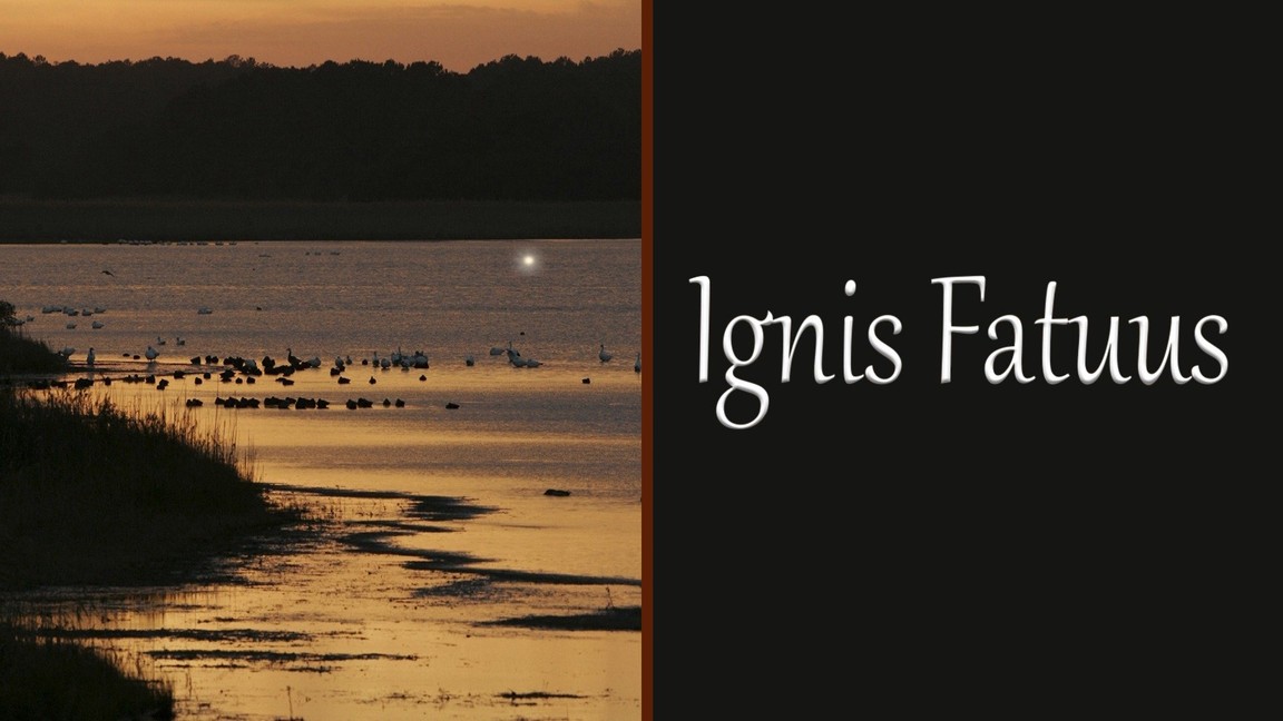 Ignis Fatuus