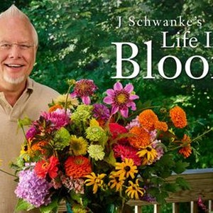 J Schwanke's Life in Bloom: Season 2, Episode 2 - Rotten Tomatoes