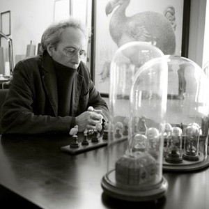 Curious Worlds: The Art & Imagination of David Beck - Rotten Tomatoes