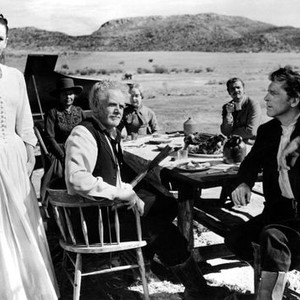 June Walker - Rotten Tomatoes