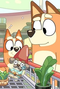 Bluey: Season 2, Episode 2 | Rotten Tomatoes