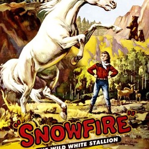 Snowfire - Rotten Tomatoes