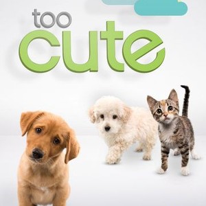 Too Cute!: Season 2, Episode 12 - Rotten Tomatoes