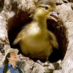 Andy's Wild Adventures: Season 2, Episode 7 - Rotten Tomatoes