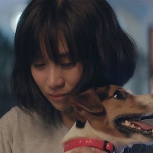 Unforgettable - Rotten Tomatoes