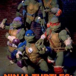 Ninja Turtles: The Next Mutation - Rotten Tomatoes