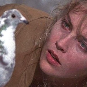 Scissors - Rotten Tomatoes